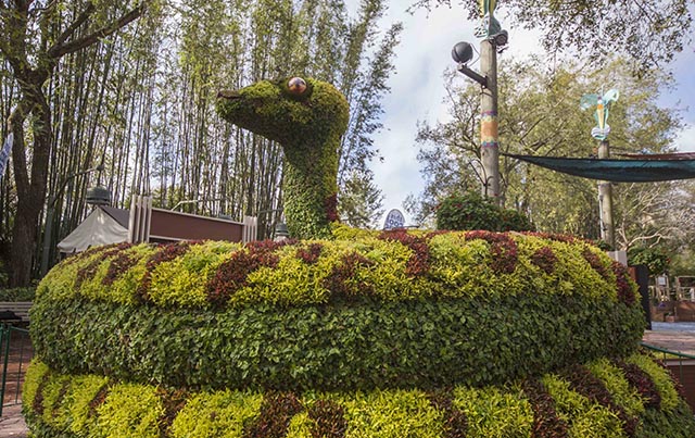 El parque temático Busch Garden Tampa recibe la primavera con ...